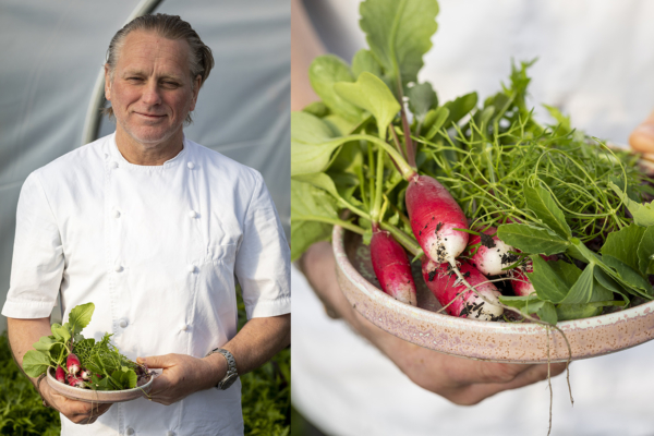 The Holcombe – 11 bedroomed 5 star Country Inn Hotel